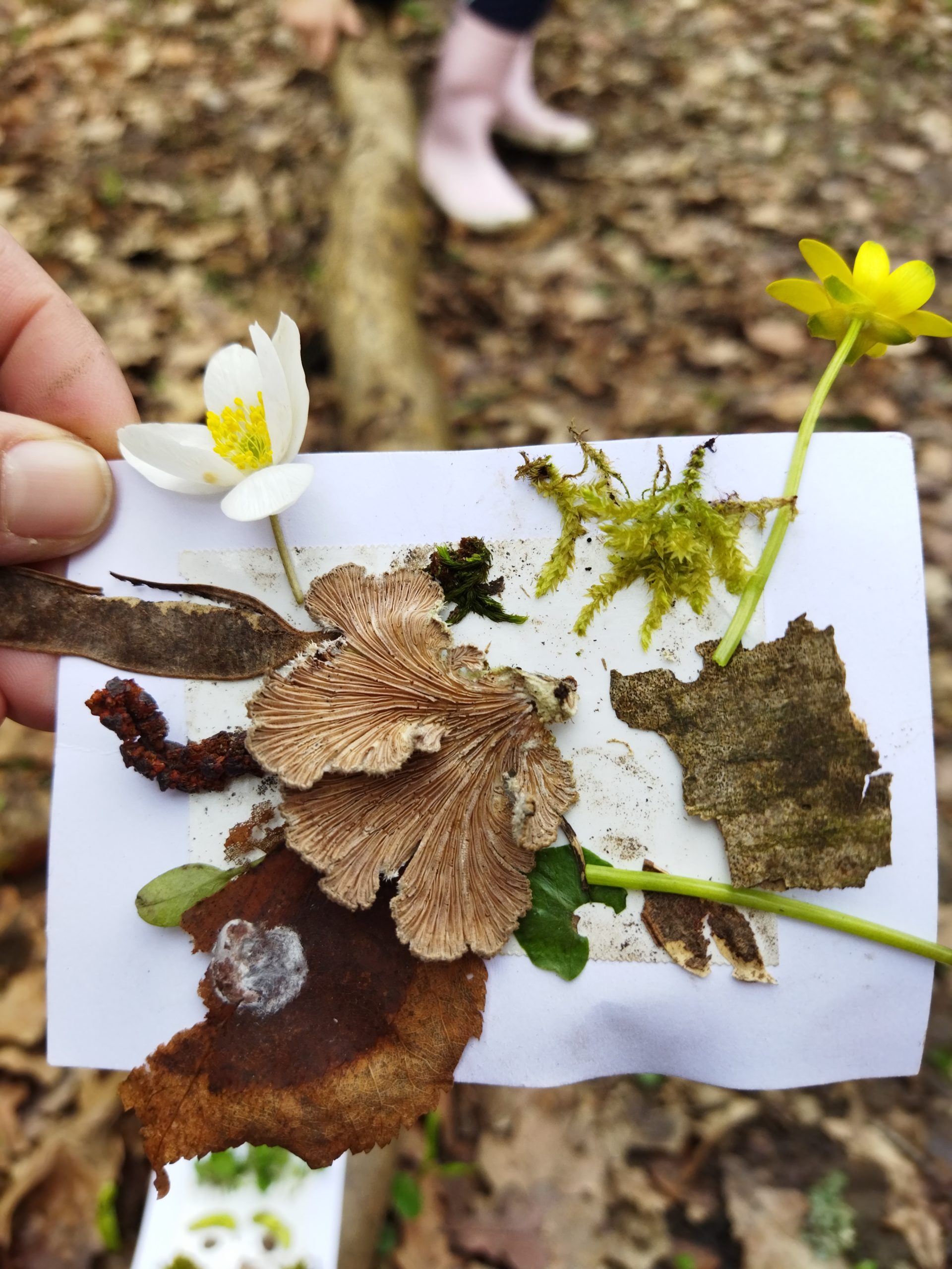 Exploration ! - Ecole primaire Jeanne d'Arc (classes maternelles et ...